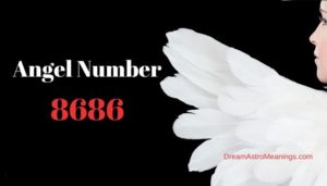 8686 Angel Number – Meaning and Symbolism - Dream Astro Meanings